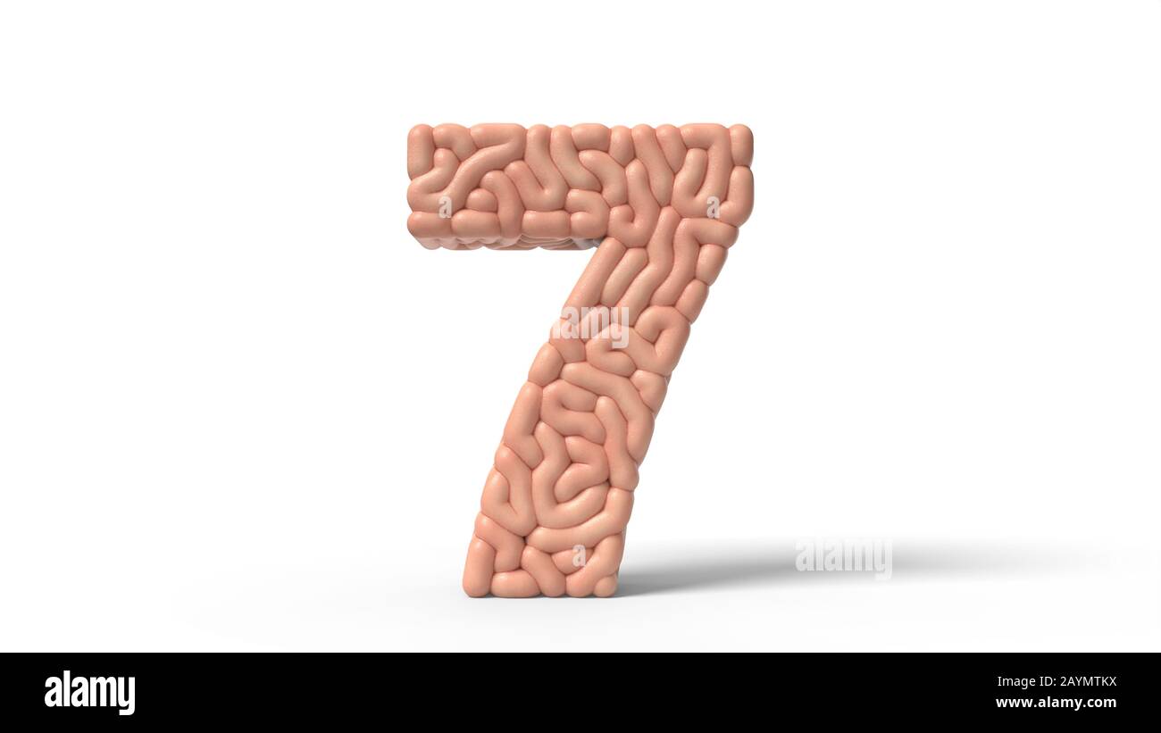 human brain in shape of number 7. suitable for brain, biology, medicine ...