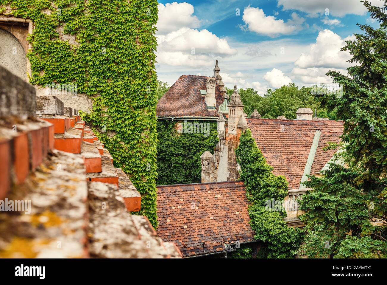 Medieval Gothic Renaissance castle Vajdahunyad in Budapest, Hungary ...