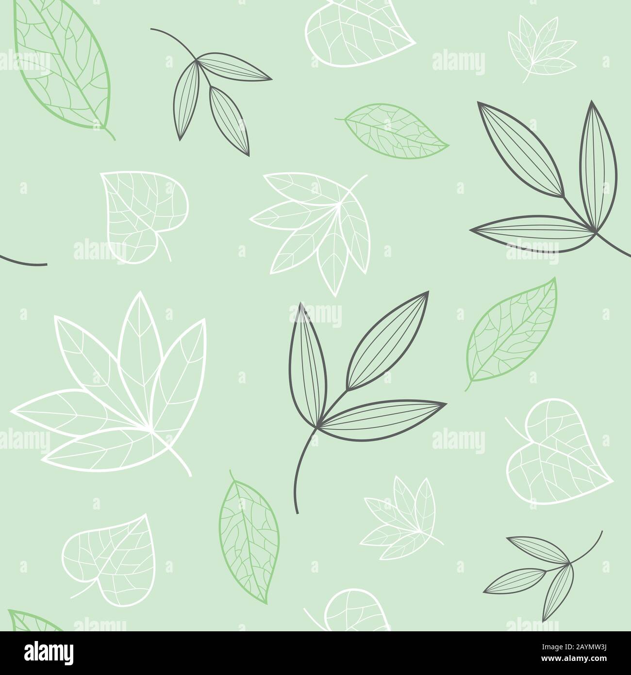 Invitation white paper green Stock Vector Images - Alamy