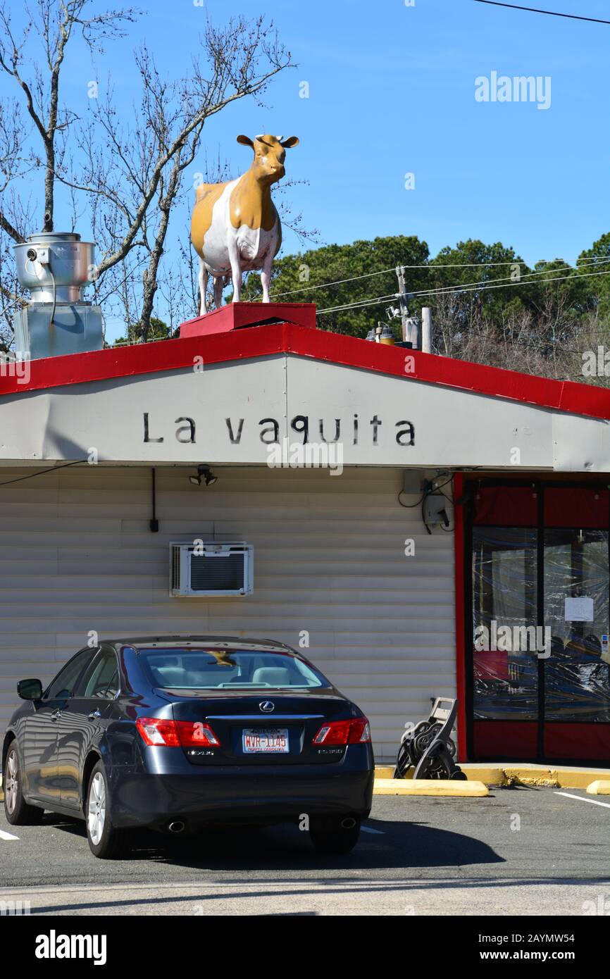 A life size cow sits atop La Vaquita Taqueria in Durham North Carolina ...