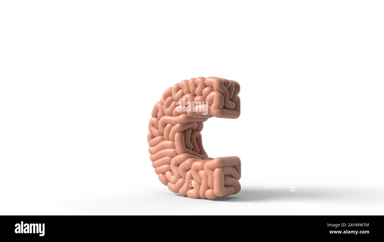 human brain in shape of letter c. suitable for brain, biology, medicine ...