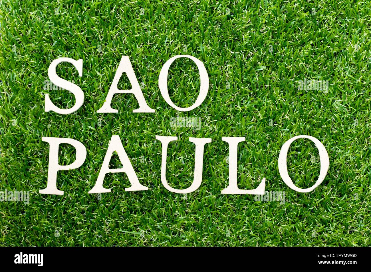 Wood alphabet letter in word Sao Paulo on green grass background Stock ...