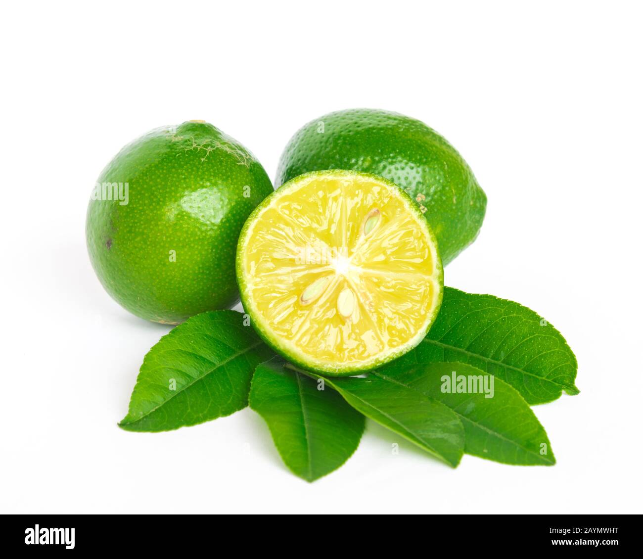 Two homegrown raw Asian limes with half cut slices and green leaves ...