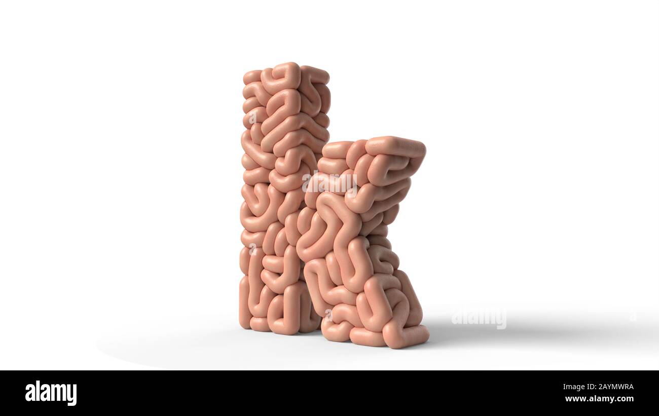 human brain in shape of letter k. suitable for brain, biology, medicine ...