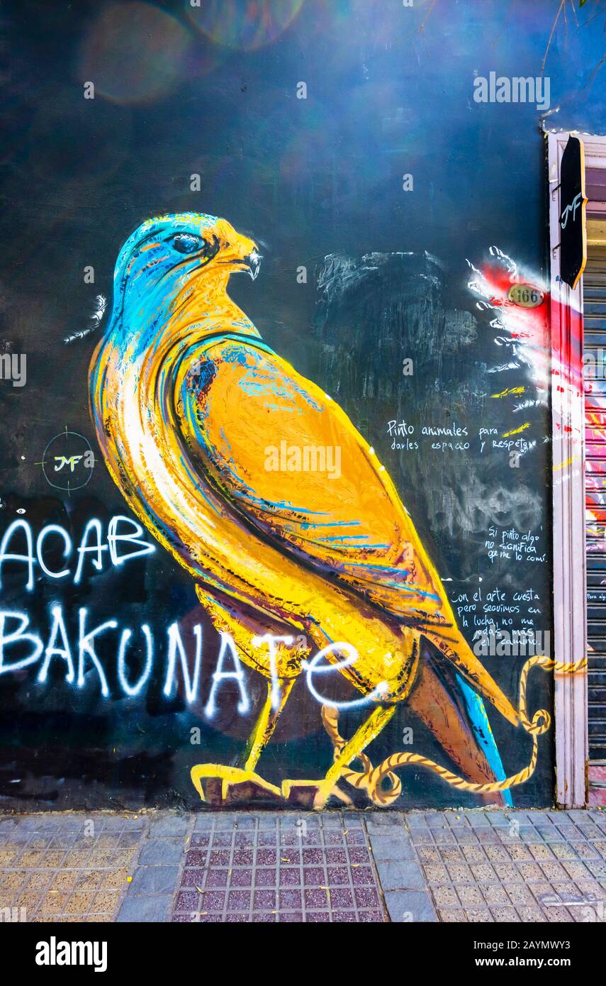 Wall mural bird art hi-res stock photography and images - Alamy
