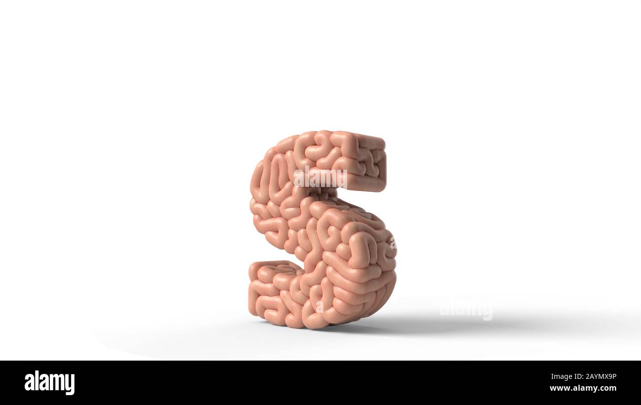 human brain in shape of letter s. suitable for brain, biology, medicine ...