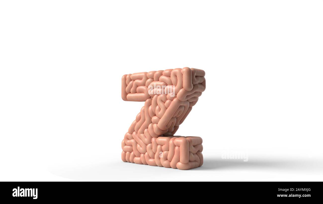 human brain in shape of letter z. suitable for brain, biology, medicine ...