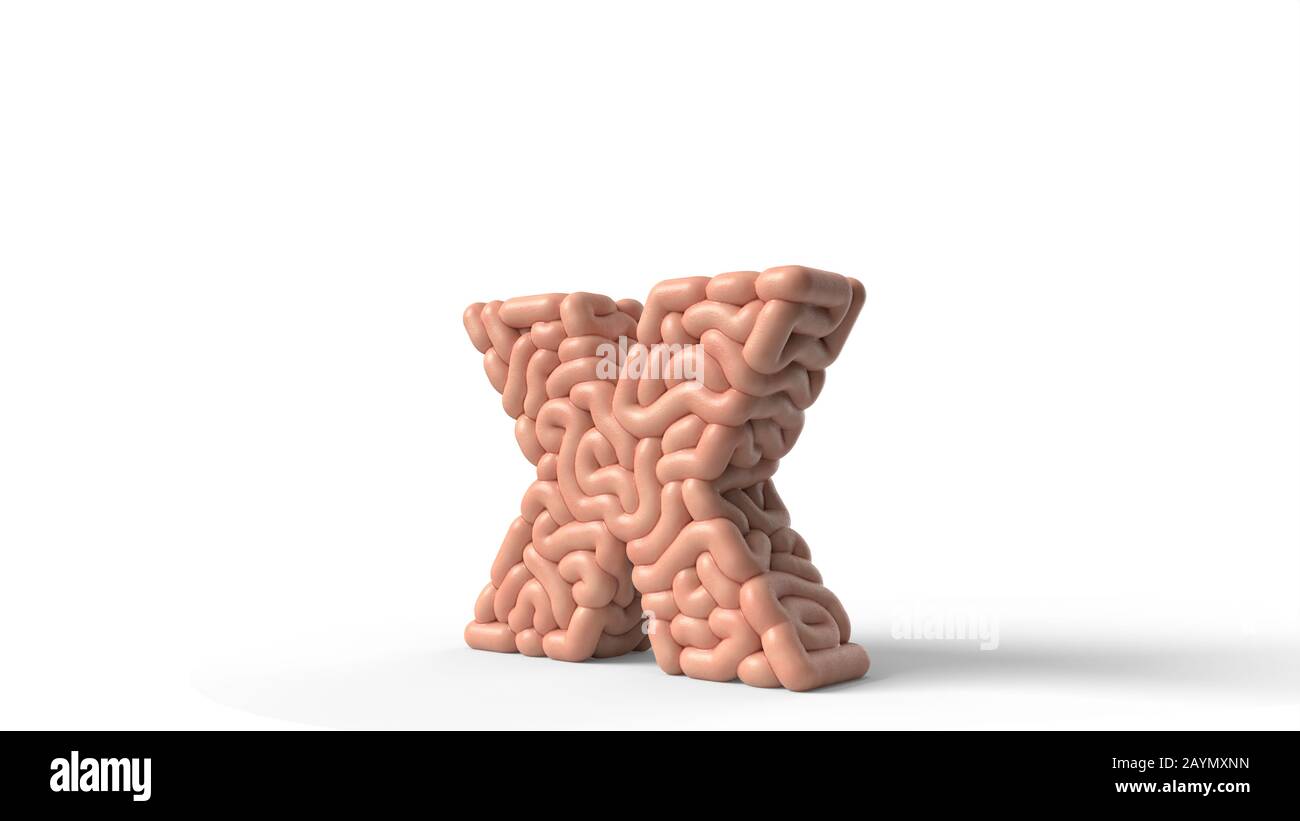 human brain in shape of letter x. suitable for brain, biology, medicine ...