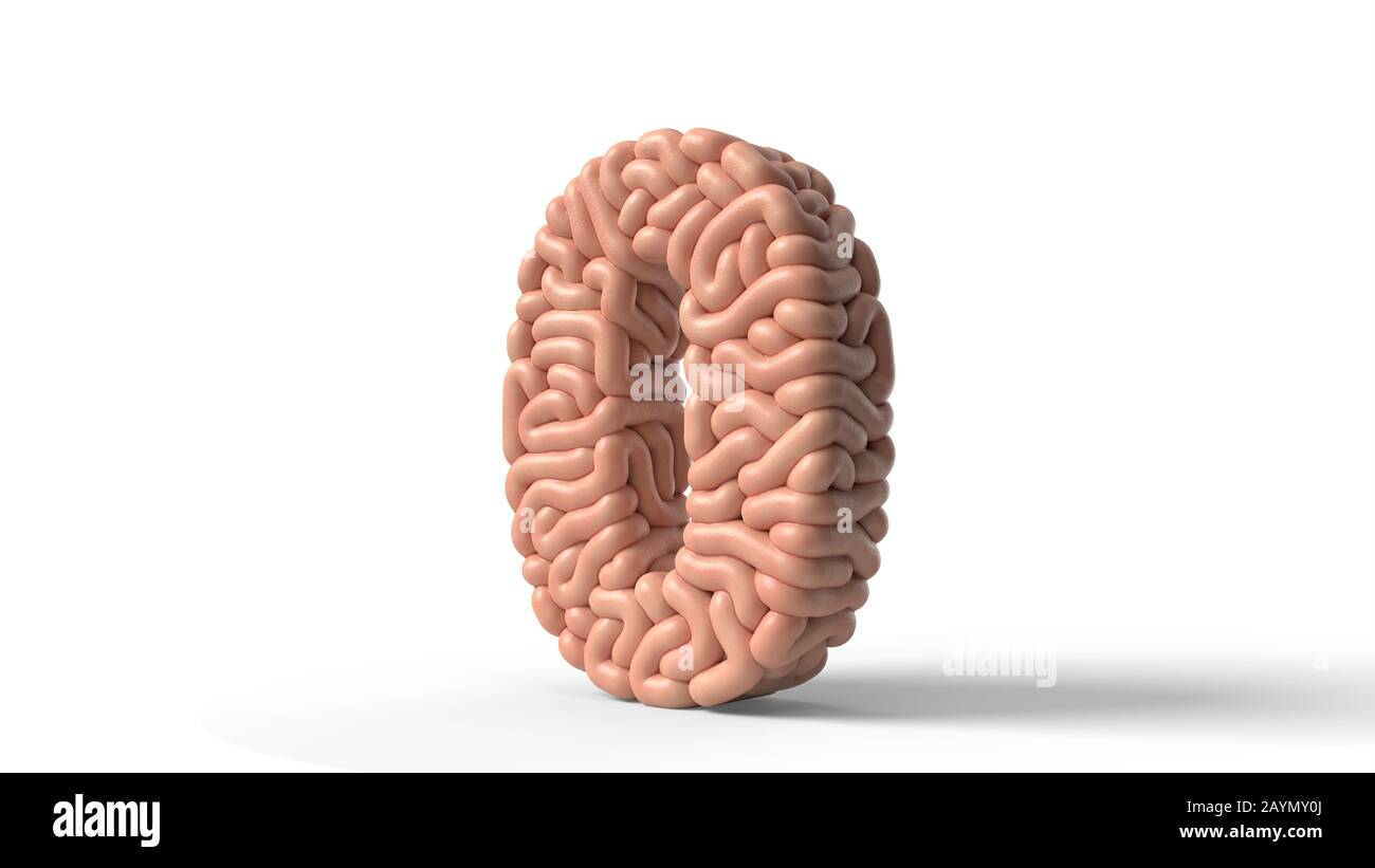 human brain in shape of number 0. suitable for brain, biology, medicine ...