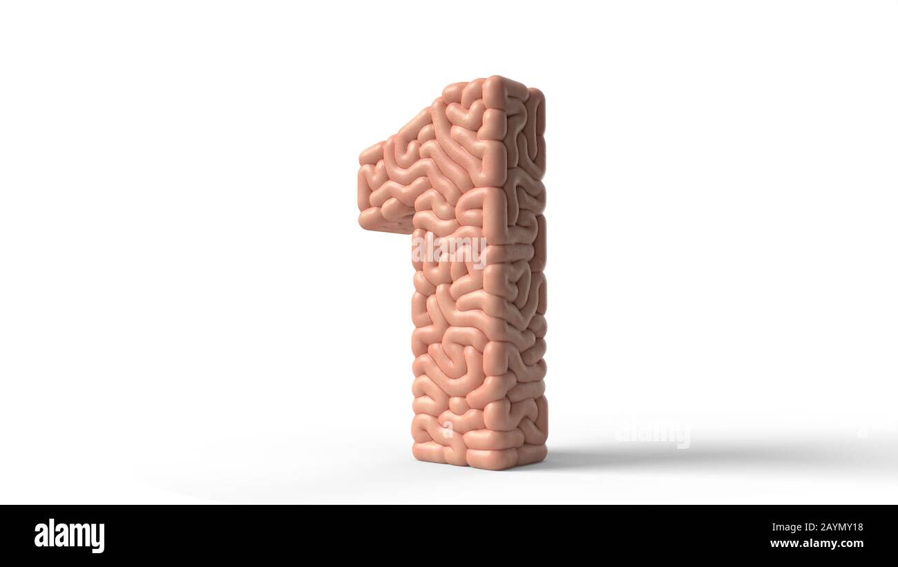 human brain in shape of number 1 suitable for brain, biology, medicine ...