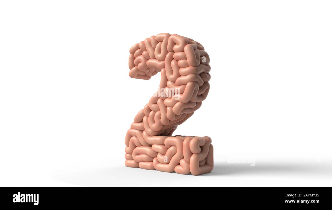 human brain in shape of number 2. suitable for brain, biology, medicine ...