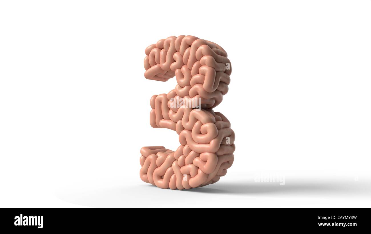 human brain in shape of number 3. suitable for brain, biology, medicine ...
