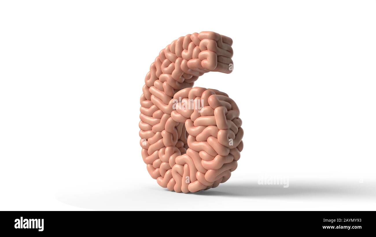 human brain in shape of number 6. suitable for brain, biology, medicine ...