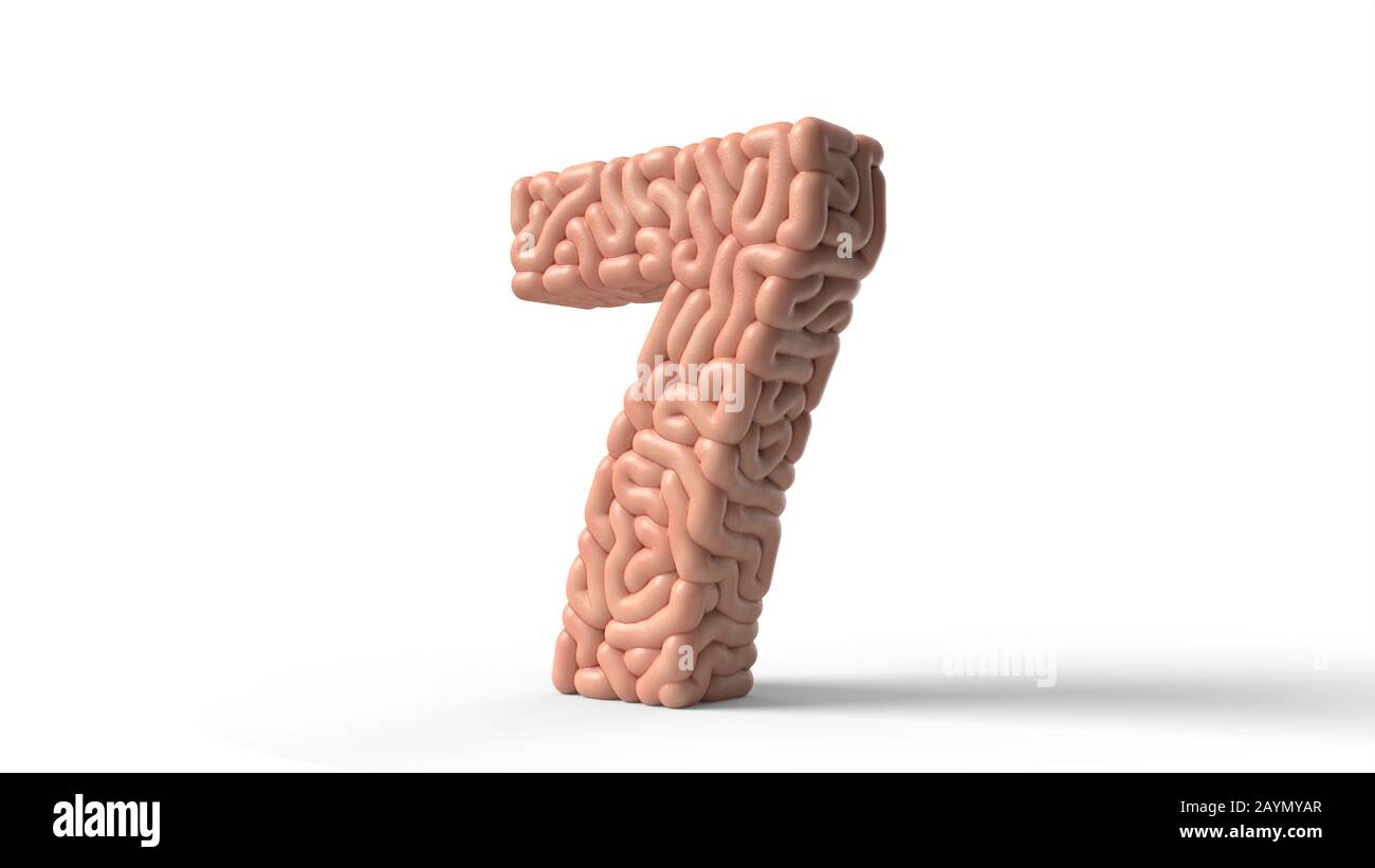 human brain in shape of number 7. suitable for brain, biology, medicine ...