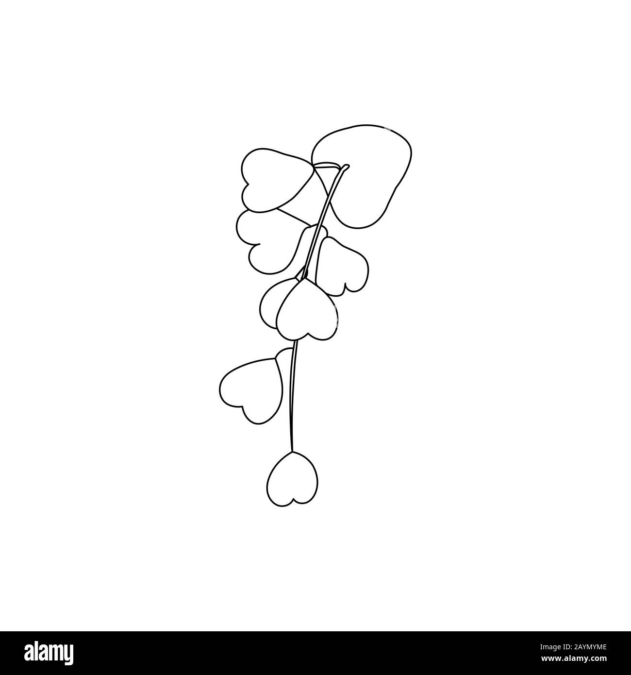 Hoya kerrii plant in a pot with leaves like heart. Line art doodle ...