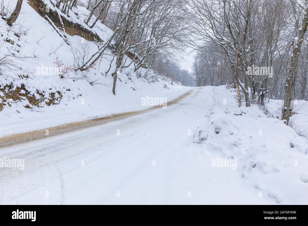 Flying through snow tree road hi-res stock photography and images - Alamy