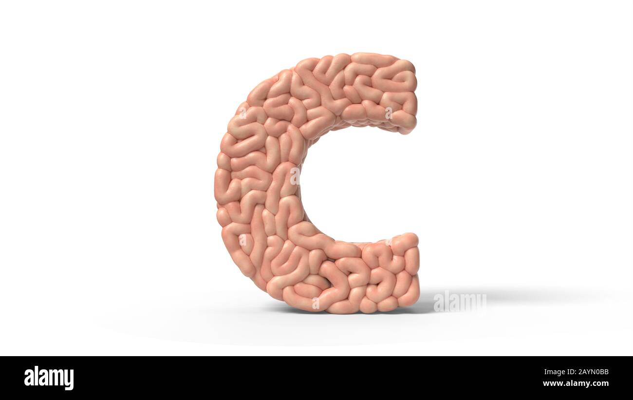 human brain in shape of letter C. suitable for brain, biology, medicine ...