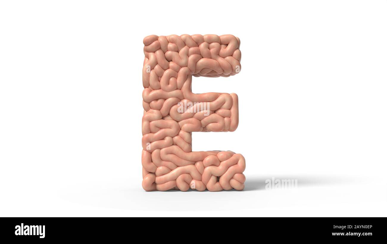 human brain in shape of letter E. suitable for brain, biology, medicine ...