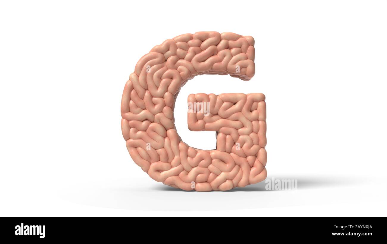 human brain in shape of letter G. suitable for brain, biology, medicine ...