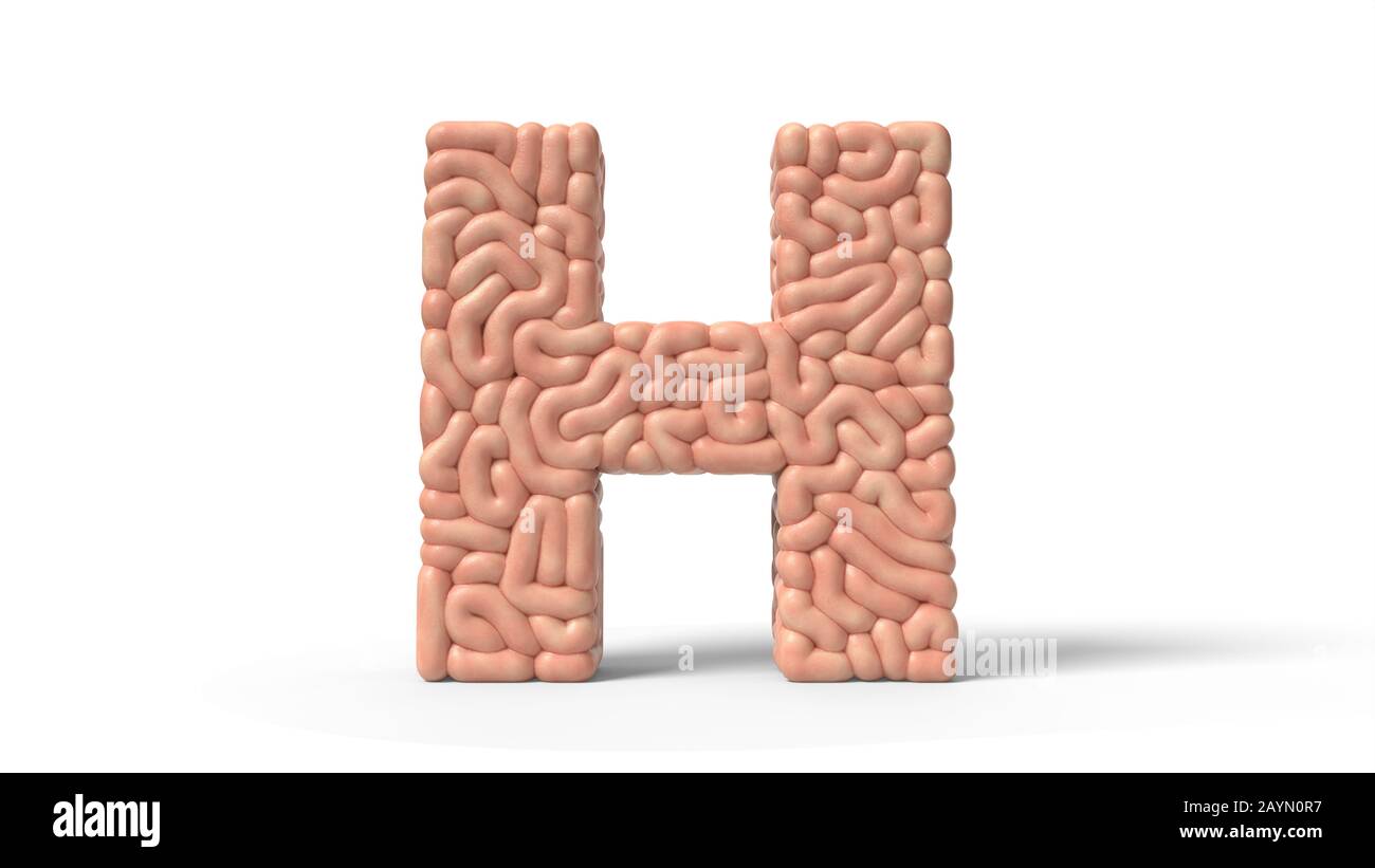 human brain in shape of letter H. suitable for brain, biology, medicine ...