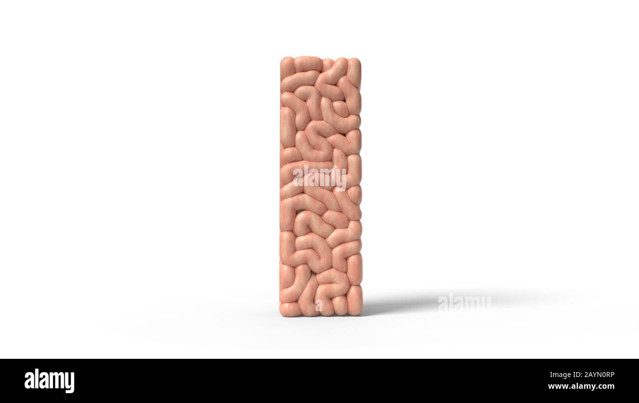 human brain in shape of letter I. suitable for brain, biology, medicine ...