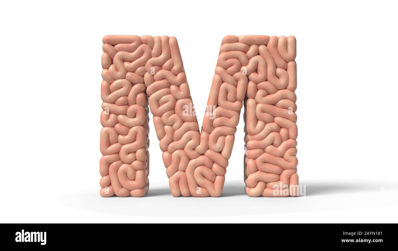 human brain in shape of letter M. suitable for brain, biology, medicine ...