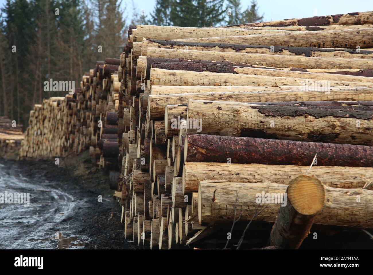 Extent damage hi-res stock photography and images - Alamy