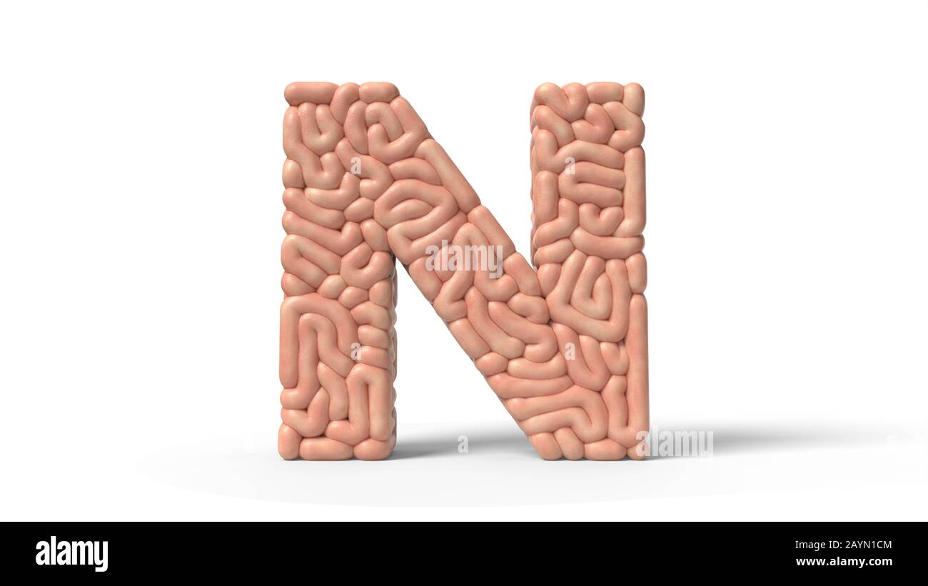 human brain in shape of letter N. suitable for brain, biology, medicine ...