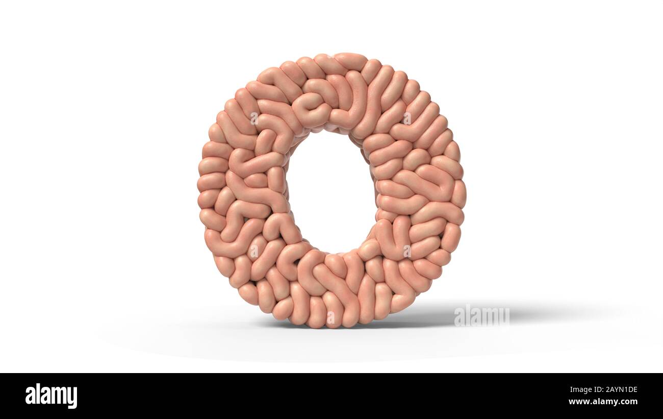 human brain in shape of letter O. suitable for brain, biology, medicine ...