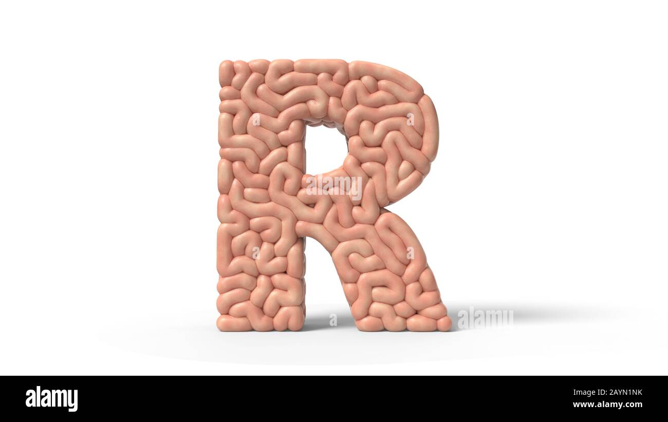human brain in shape of letter R. suitable for brain, biology, medicine ...