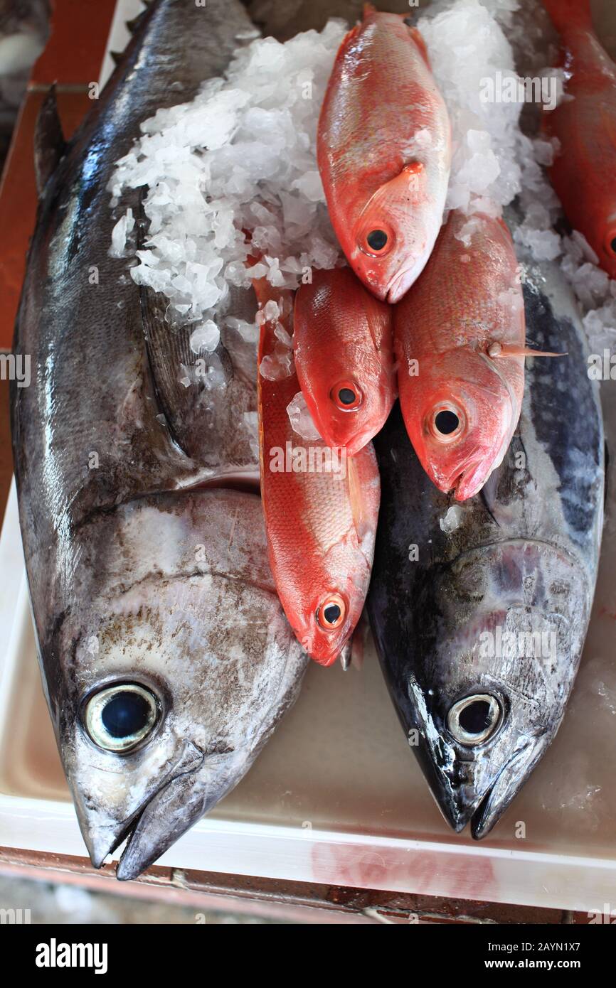 Barbados Photos promotion fish Stock Photo - Alamy