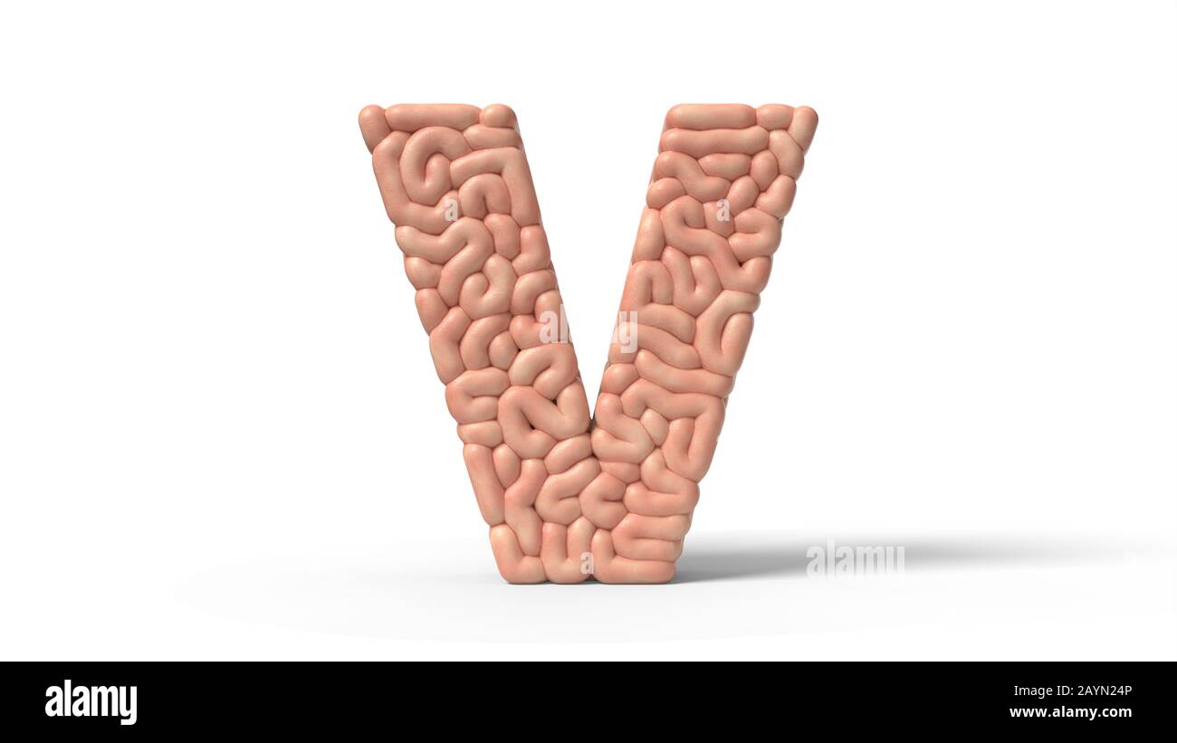 human brain in shape of letter V. suitable for brain, biology, medicine ...