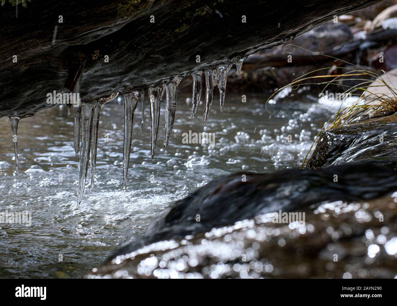 Icicles form along Gardner Canyon Creek, Coronado National Forest ...
