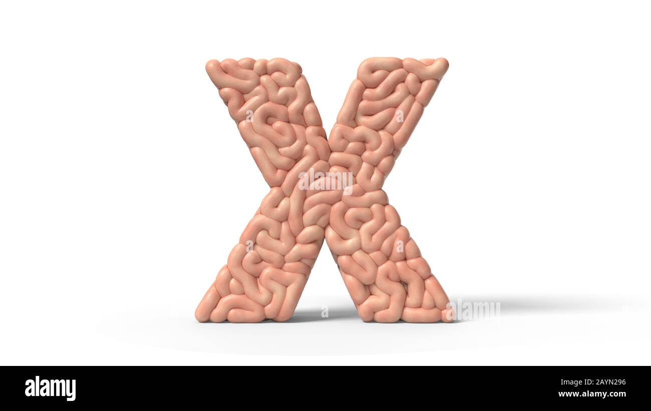human brain in shape of letter X. suitable for brain, biology, medicine ...
