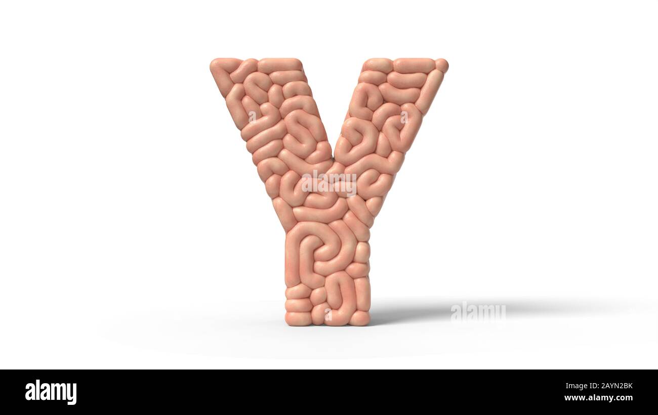 human brain in shape of letter Y. suitable for brain, biology, medicine ...