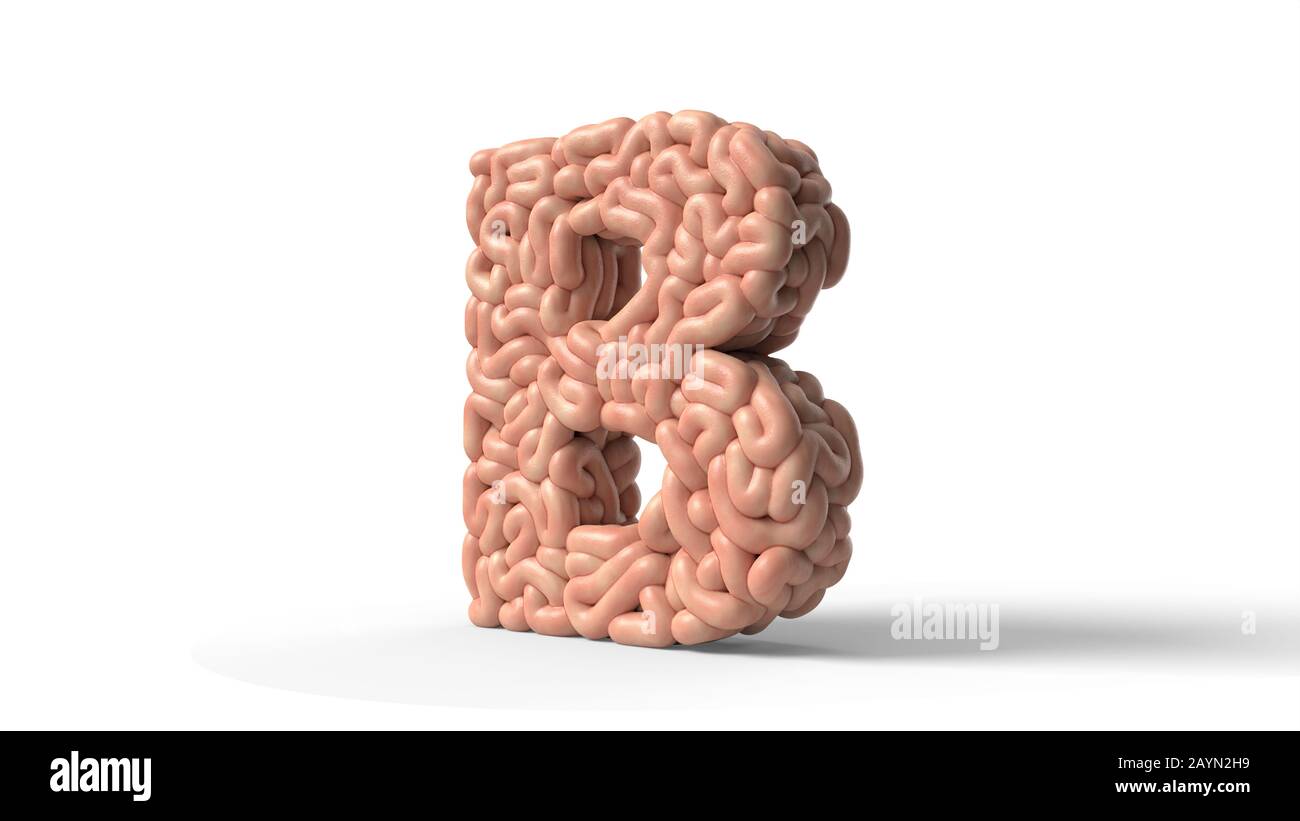 human brain in shape of letter B. suitable for brain, biology, medicine ...