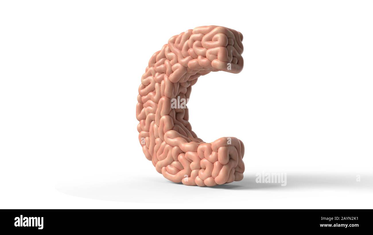 human brain in shape of letter C. suitable for brain, biology, medicine ...