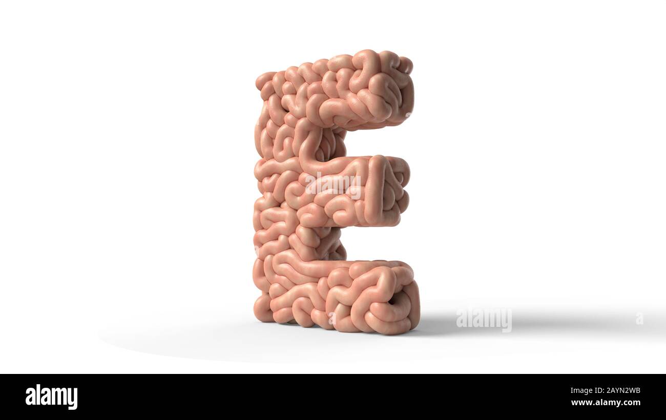human brain in shape of letter E. suitable for brain, biology, medicine ...