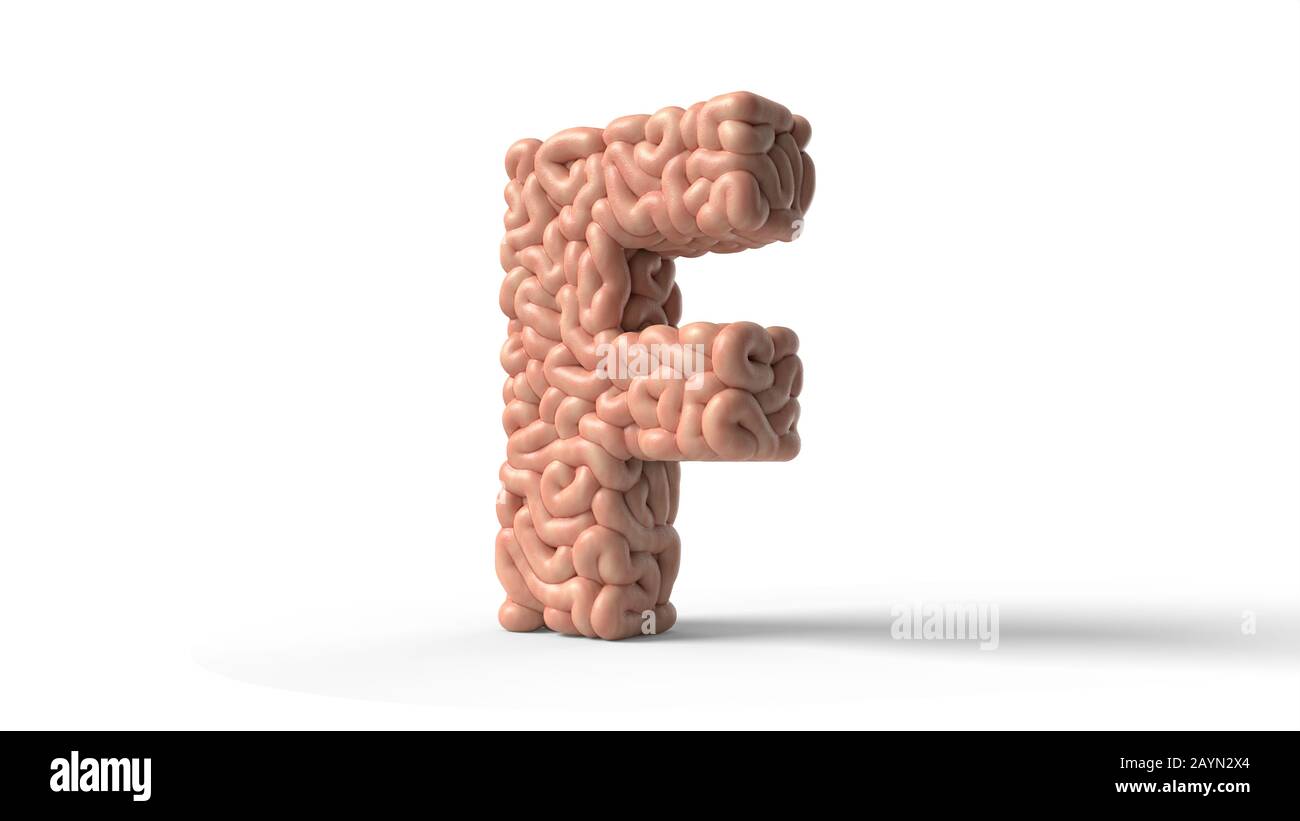 human brain in shape of letter F. suitable for brain, biology, medicine ...