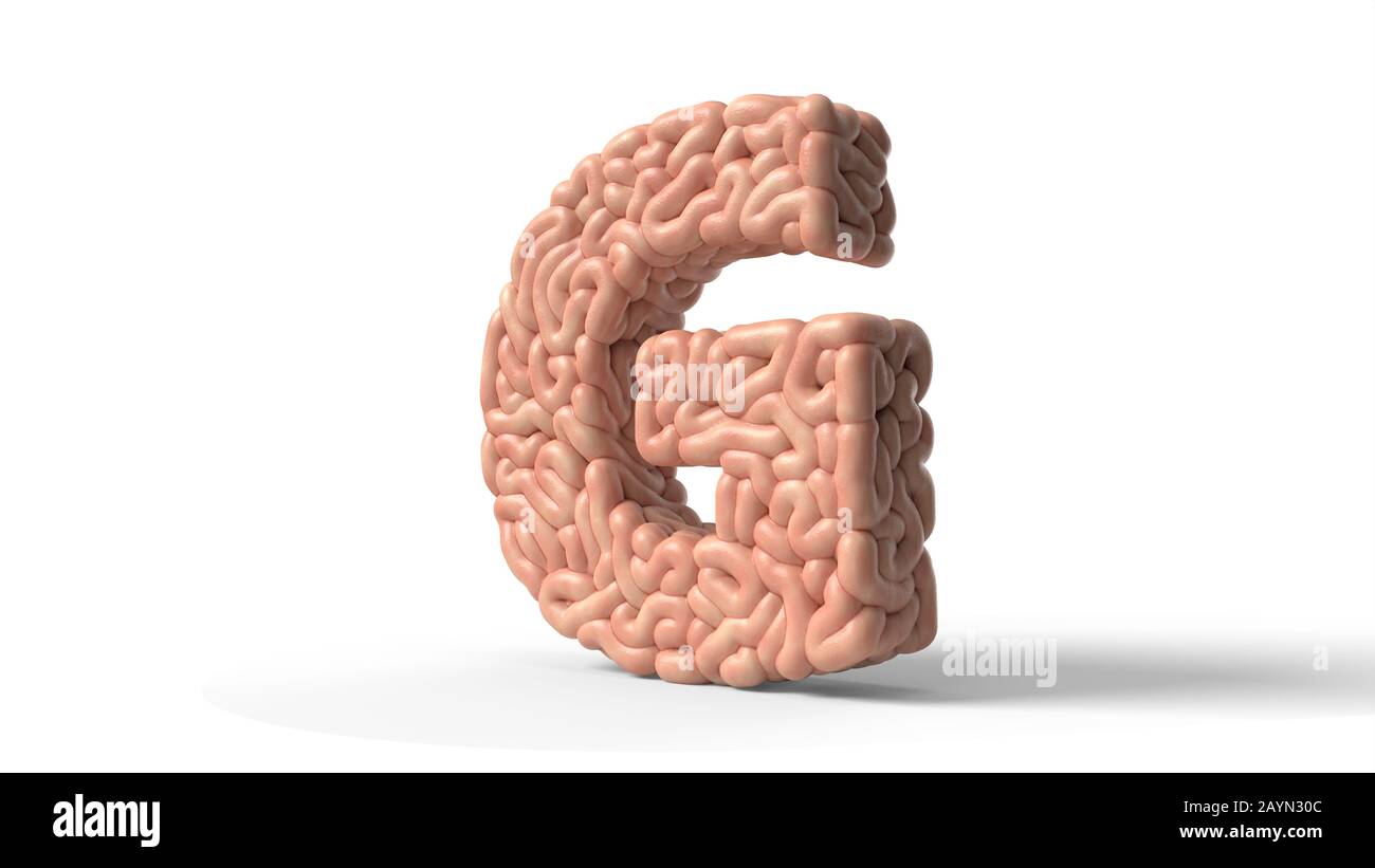 human brain in shape of letter G. suitable for brain, biology, medicine ...