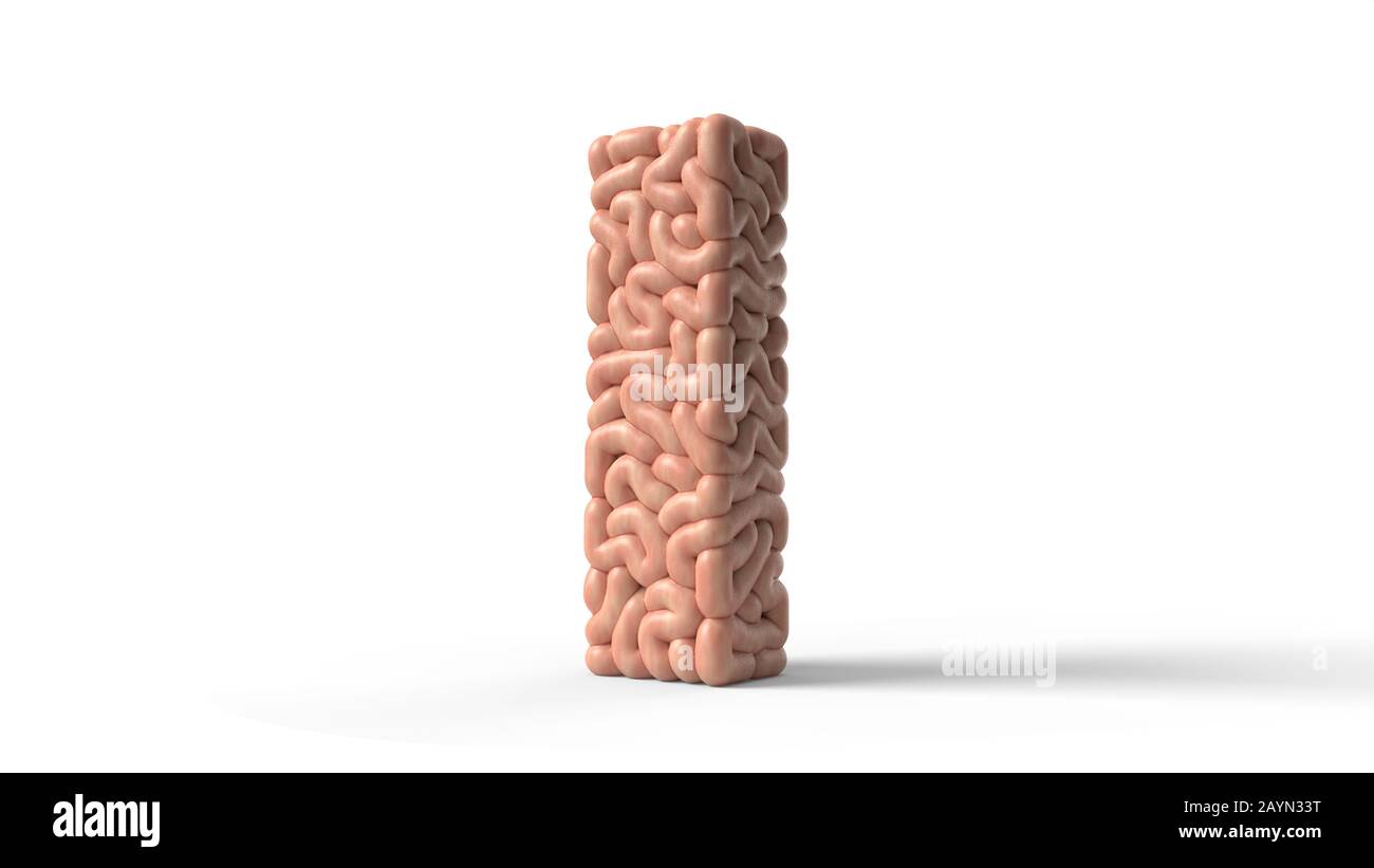 human brain in shape of letter I. suitable for brain, biology, medicine ...