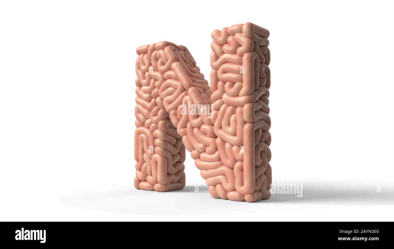 human brain in shape of letter N. suitable for brain, biology, medicine ...