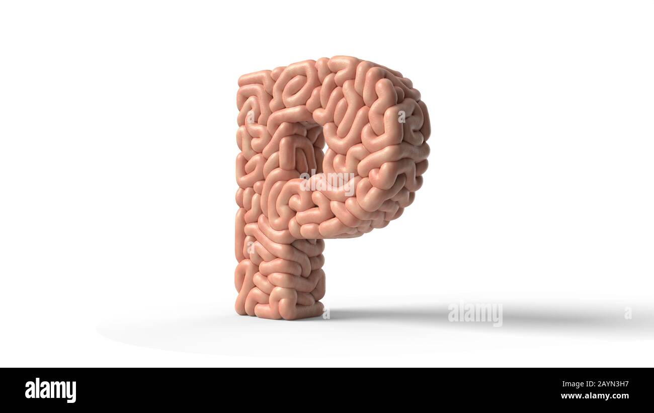 human brain in shape of letter P. suitable for brain, biology, medicine ...