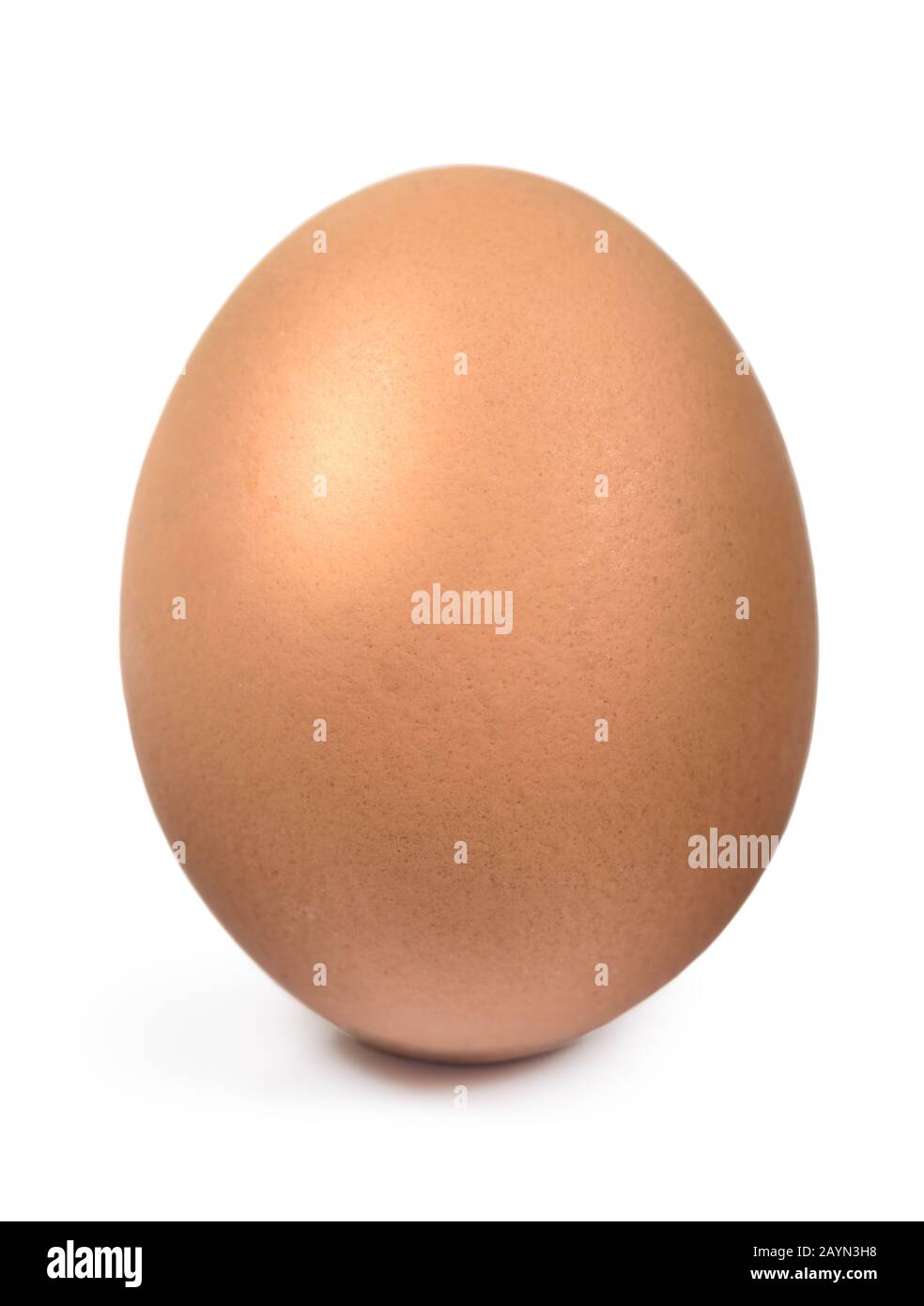 Single brown chicken egg isolated on white background with clipping ...