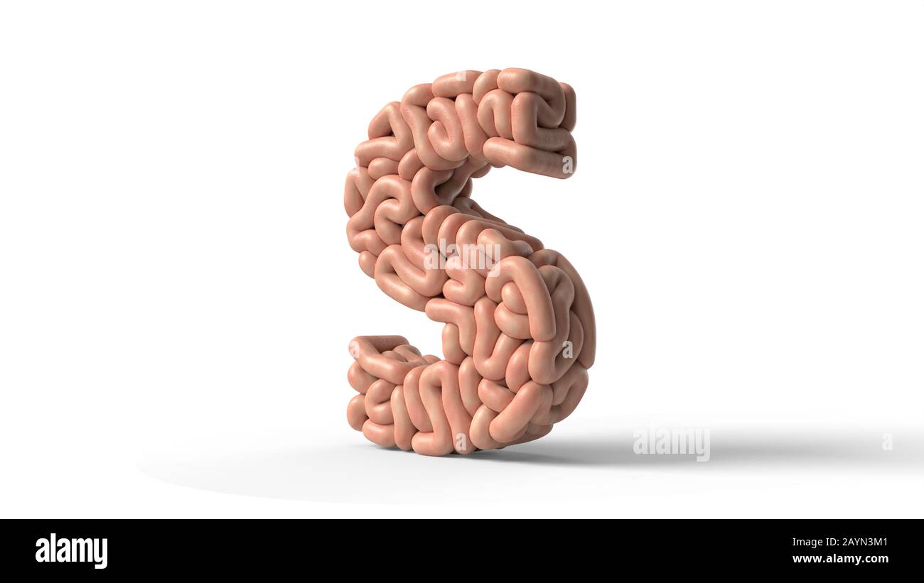 human brain in shape of letter S. suitable for brain, biology, medicine ...