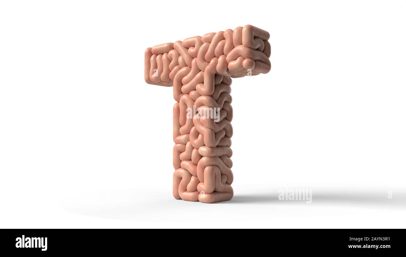 human brain in shape of letter T. suitable for brain, biology, medicine ...