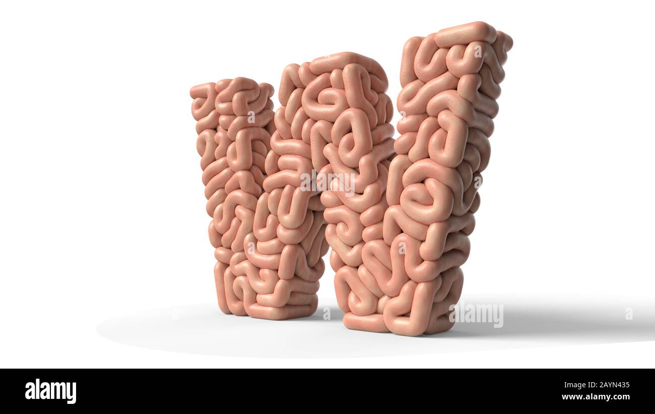 human brain in shape of letter W. suitable for brain, biology, medicine ...