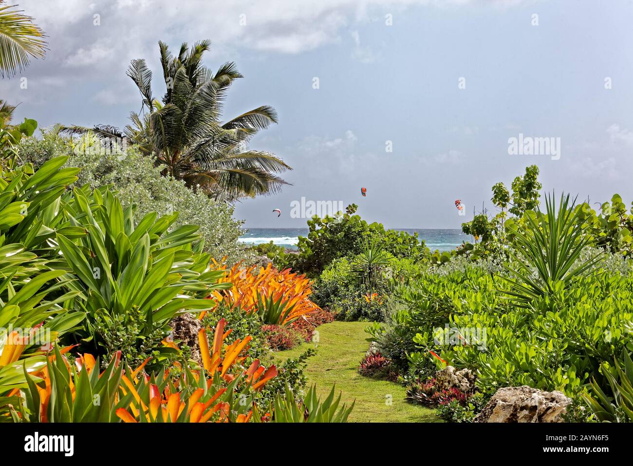 Tropical beach gardens Stock Photo - Alamy