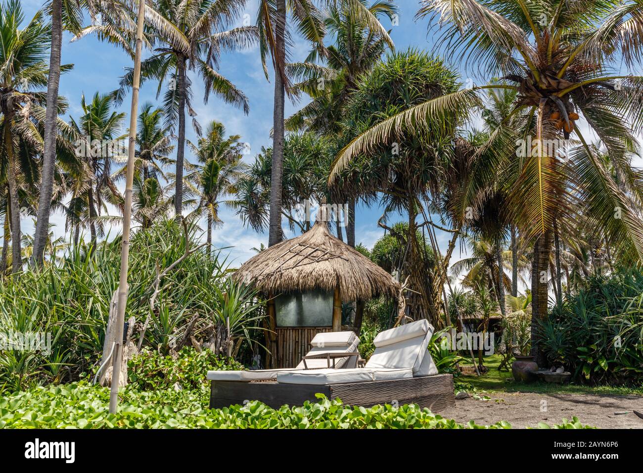 Sun loungers and white fabric umbrellas, little huts with thatched ...