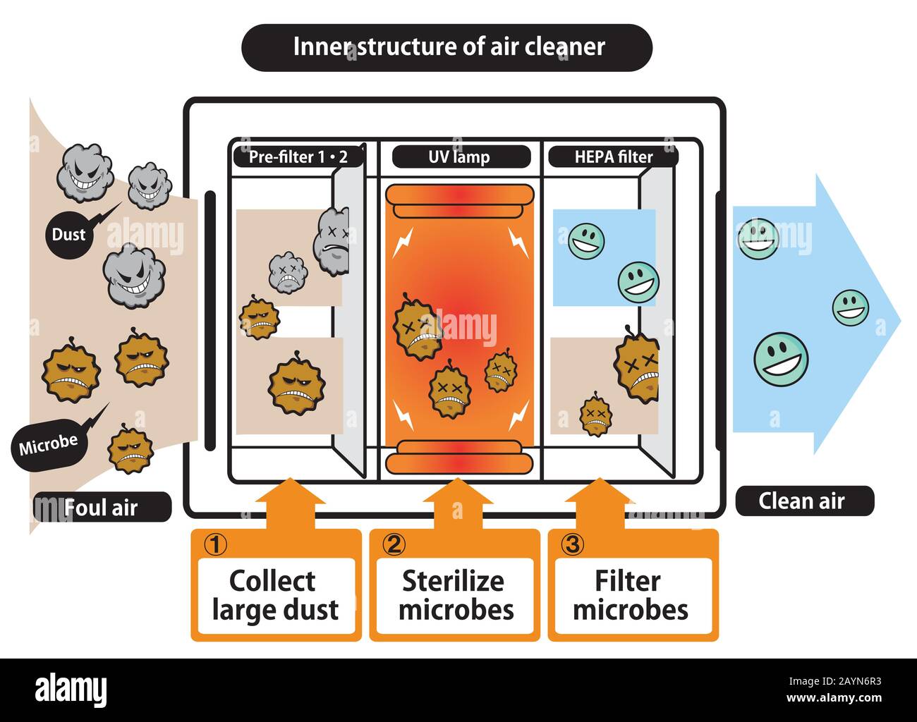 Virus flu structure Cut Out Stock Images & Pictures - Alamy